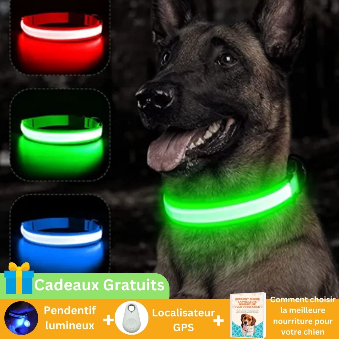 Bright Nite™ - Collier lumineux pour chiens – Joli Toutou